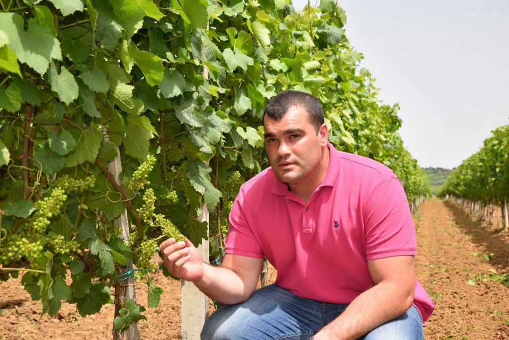 Vinarija Deurić, Fruška gora - TU magazin